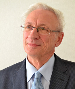 Janssen Prize for Creativity in Organic Synthesis