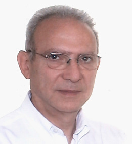 Janssen Prize for Creativity in Organic Synthesis